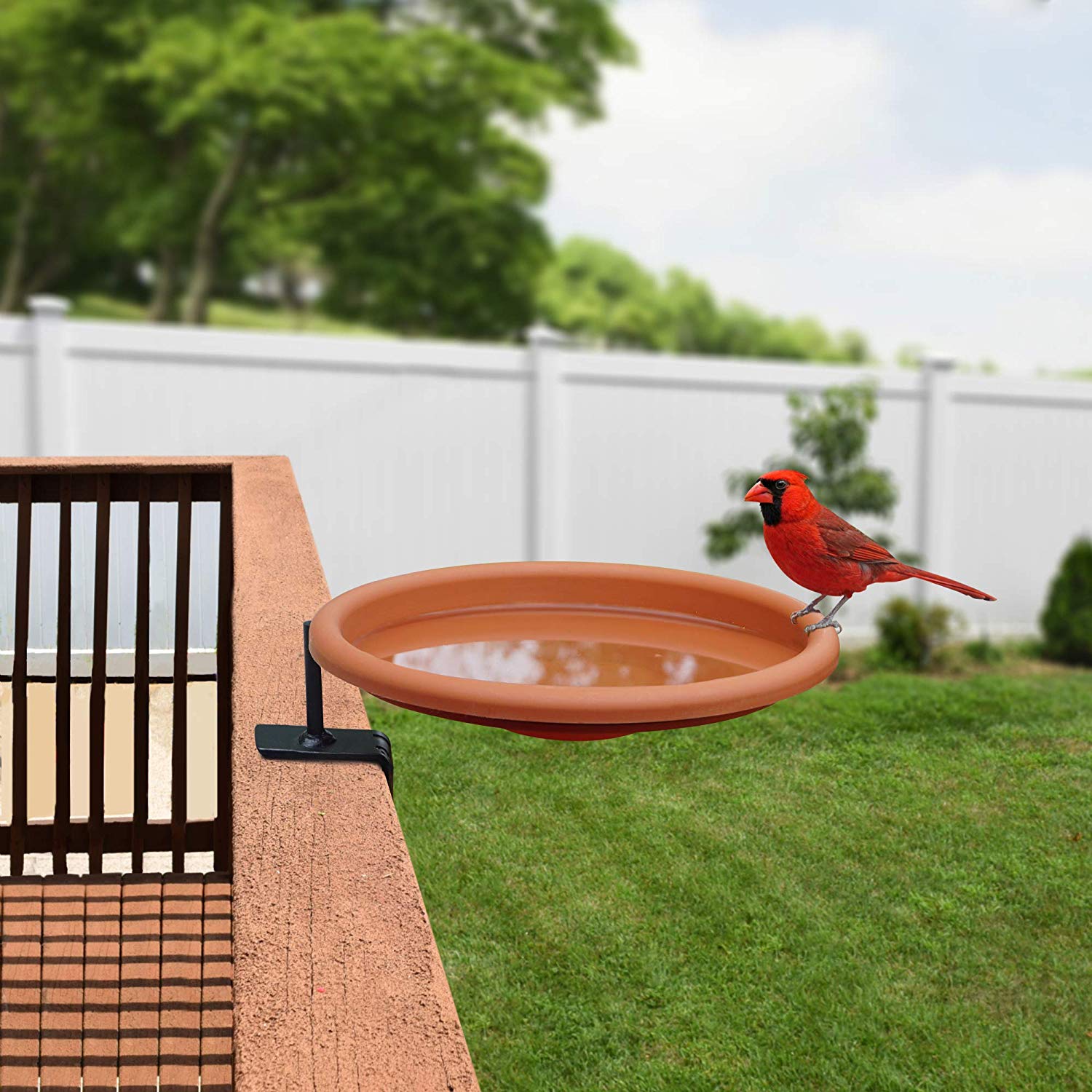 Best Heated Bird Bath 2022 Top Heated Waterer For Birds Reviews Best Heated Bird Bath 2022 Top Heated Waterer For Birds Reviews